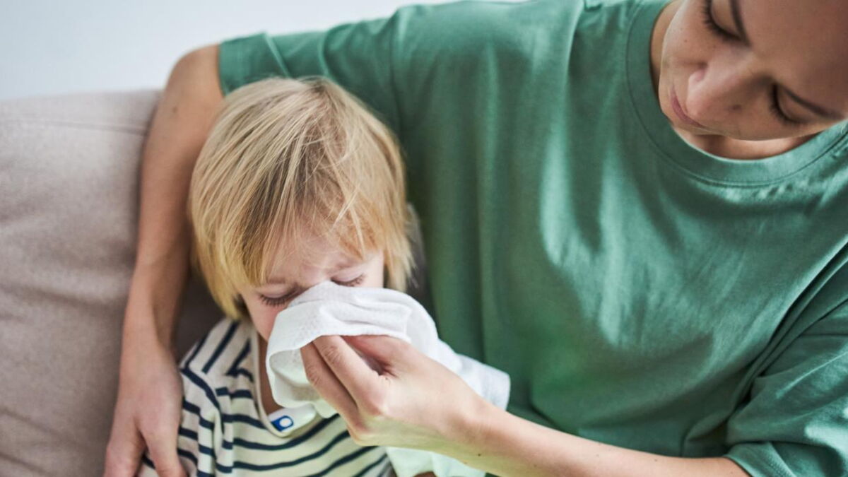 This is where the mucus in your nose actually comes from