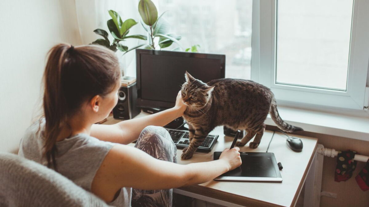 This is the reason your cat always sits on your keyboard