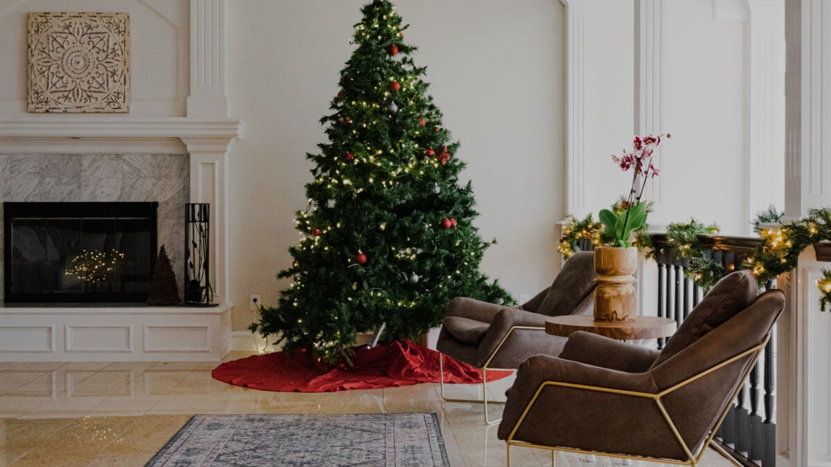 Christmas: Here is what to do with your tree after the holidays