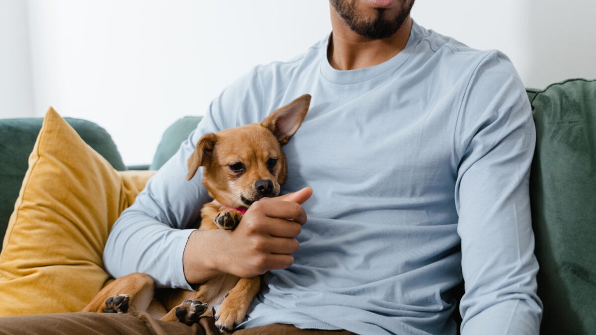 This rescue dog gives a heartbroken husband courage to carry on