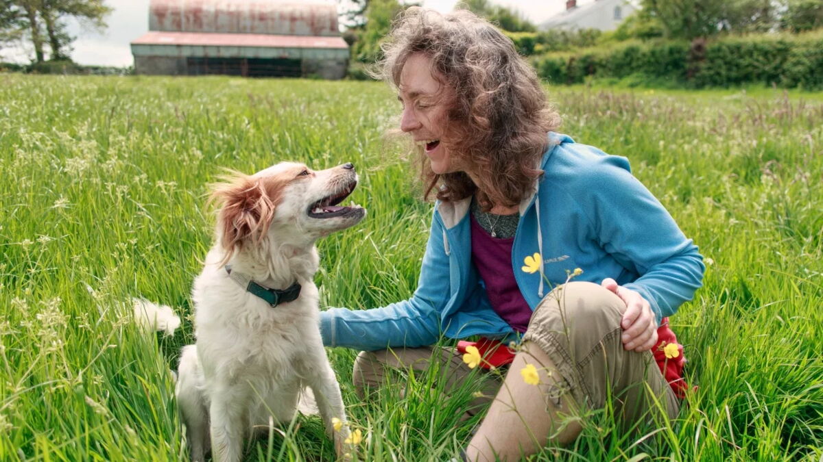 This loyal dog refused to leave its owner’s side after a terrible ...