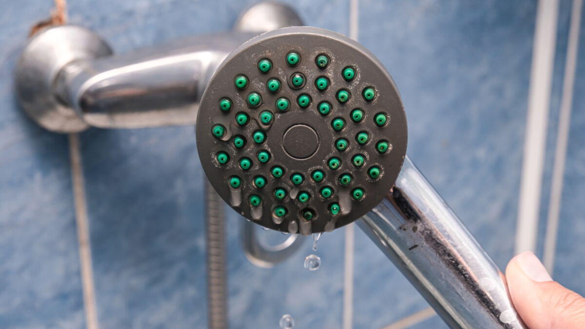 The nasty reason why you need to clean your shower head regularly