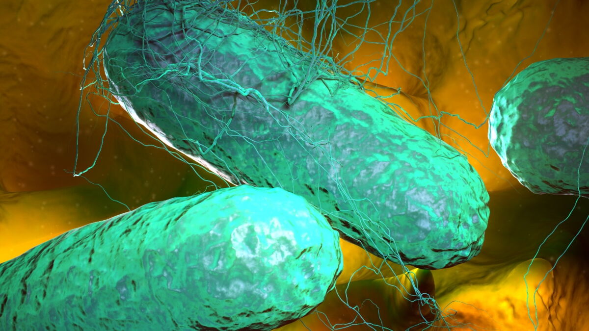 This highly contagious ancient illness is becoming resistant to treatment