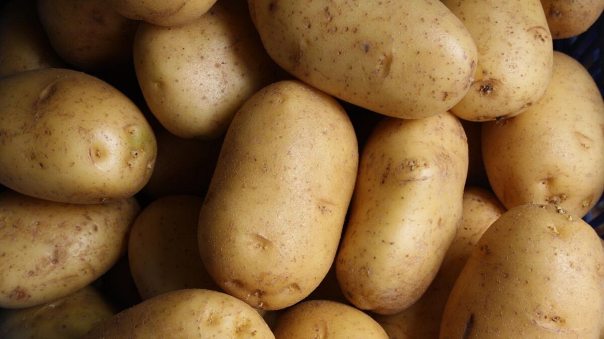 Potatoes could help cure cancer, study shows