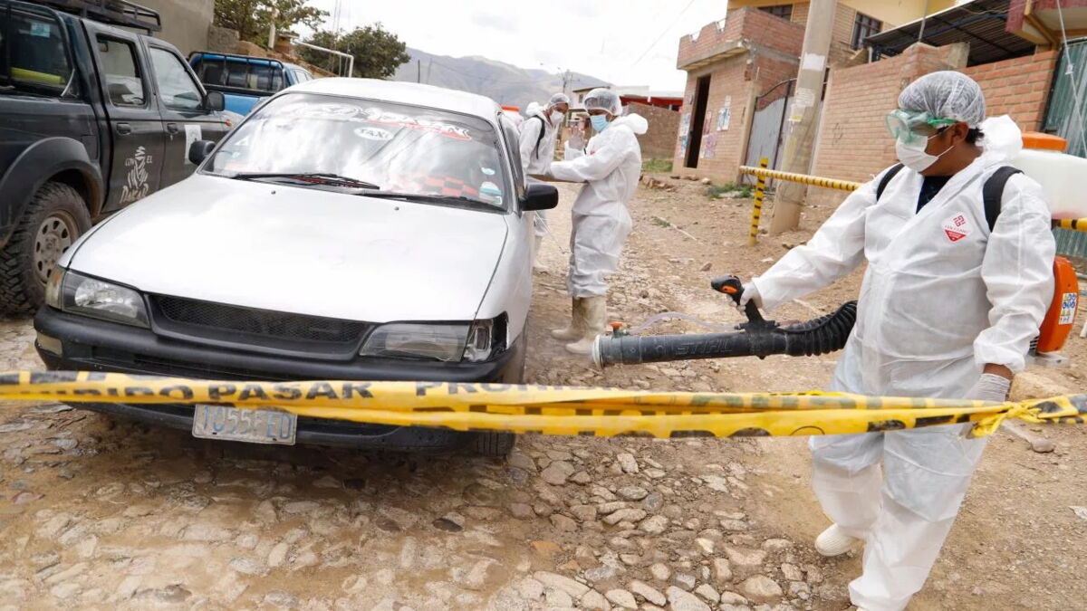 WHO issues alert over possible new pandemic that could affect humans ...