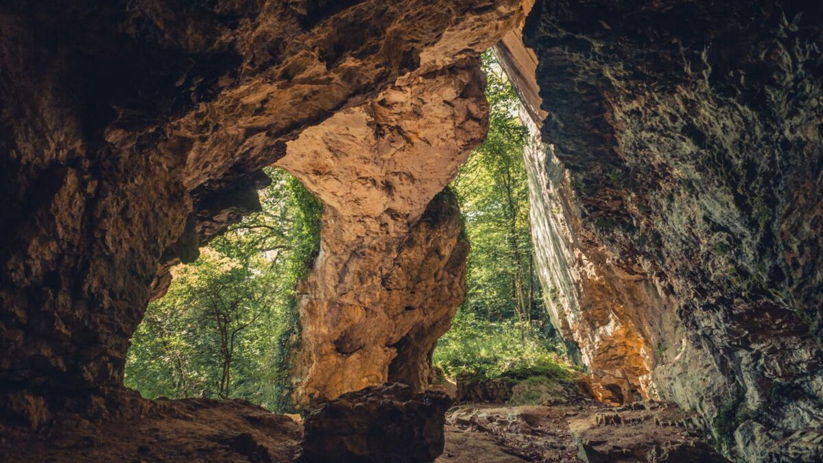 Secrets of a 35,000-year-old cave found thanks to animal excrement