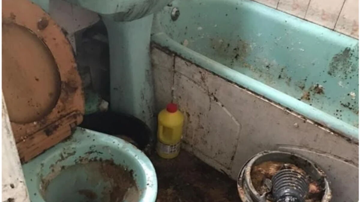 This man went 12 years without cleaning his house
