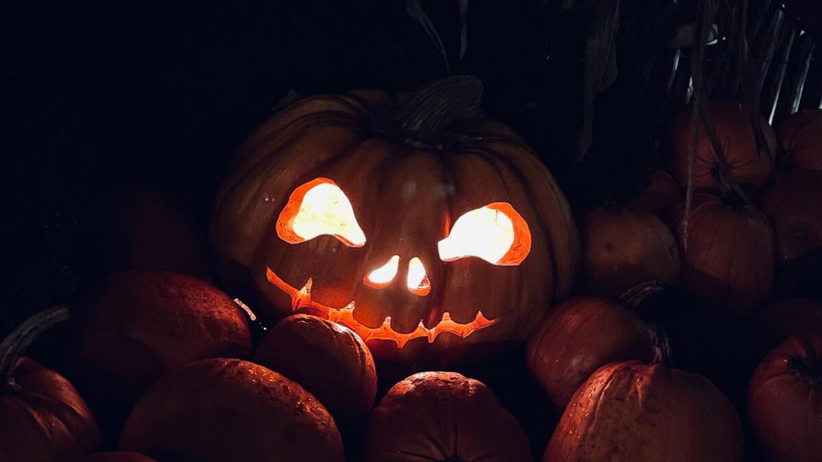 Netflix's new releases in October: Here are 4 movies you shouldn't miss