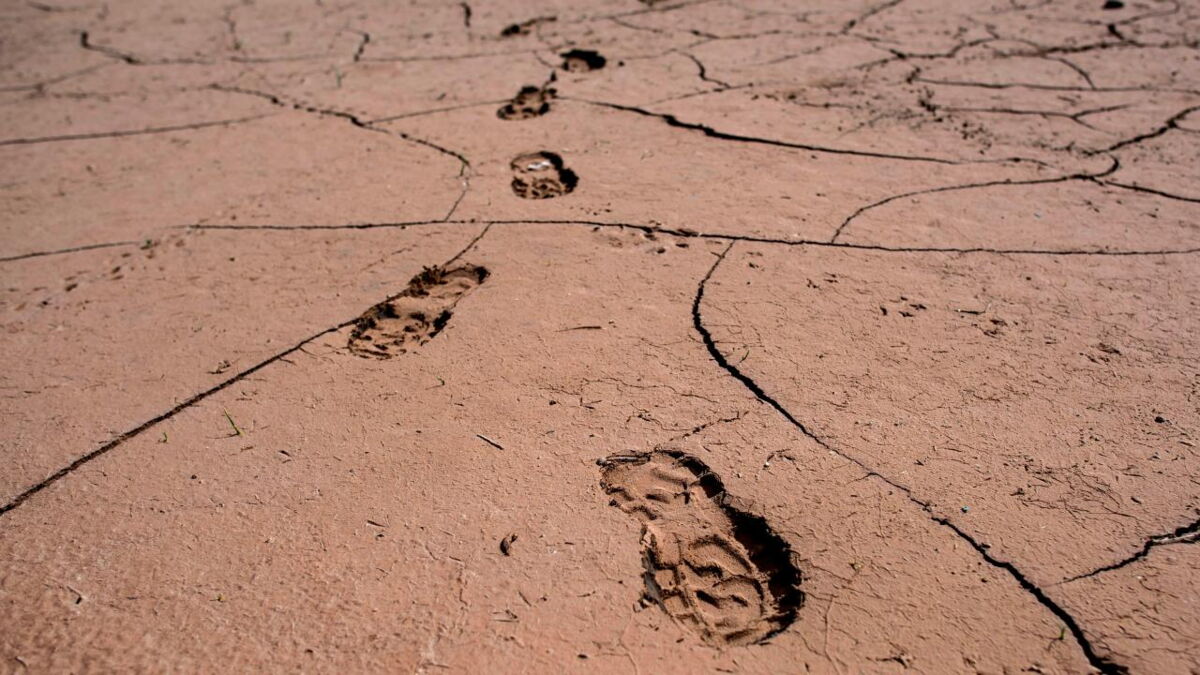 The lake of horror: skeletons, human remains, Drought reveals macabre finds