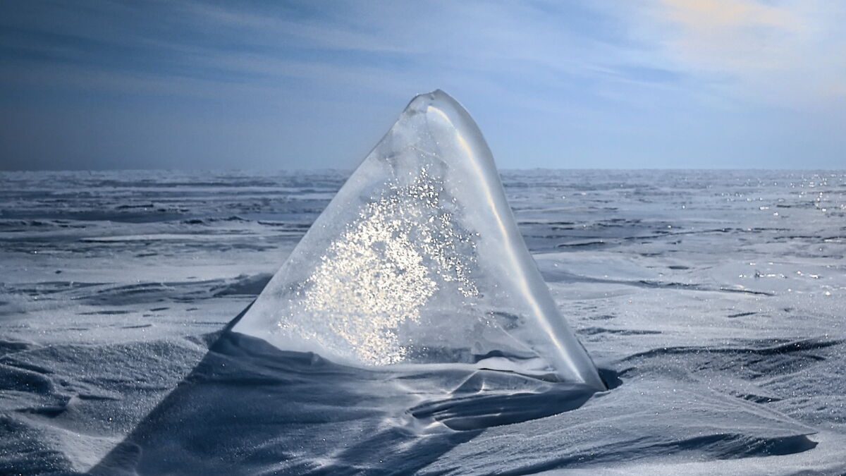 Optical illusion: Donkey, mermaid, seal, what does what you see say ...