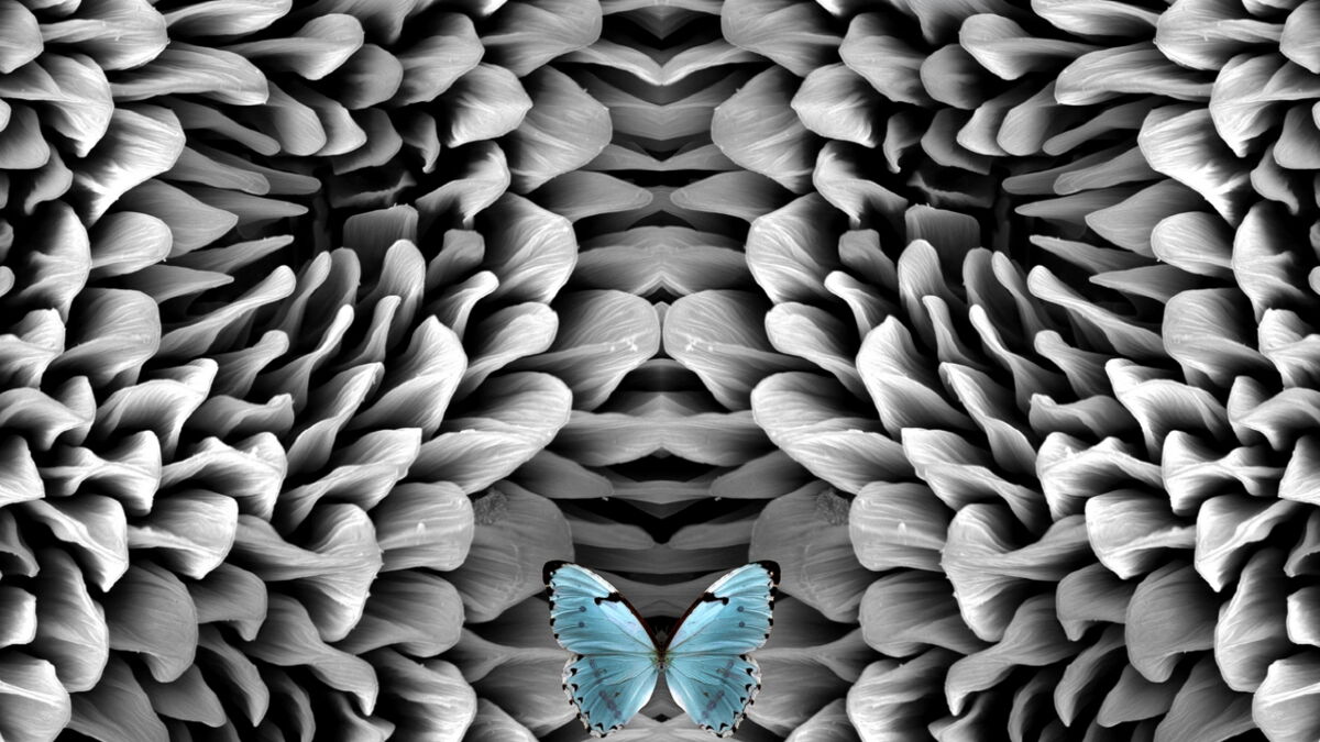 This new optical illusion reveals how confident you are