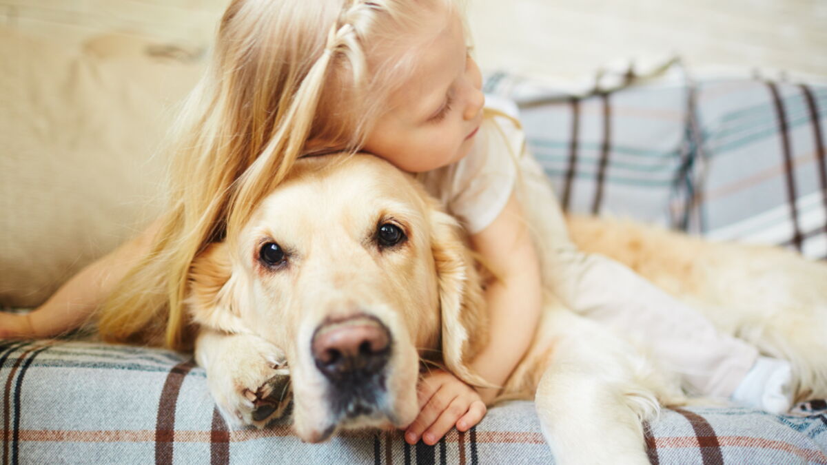 How Petting Your Dog Can Strengthen Your Bond