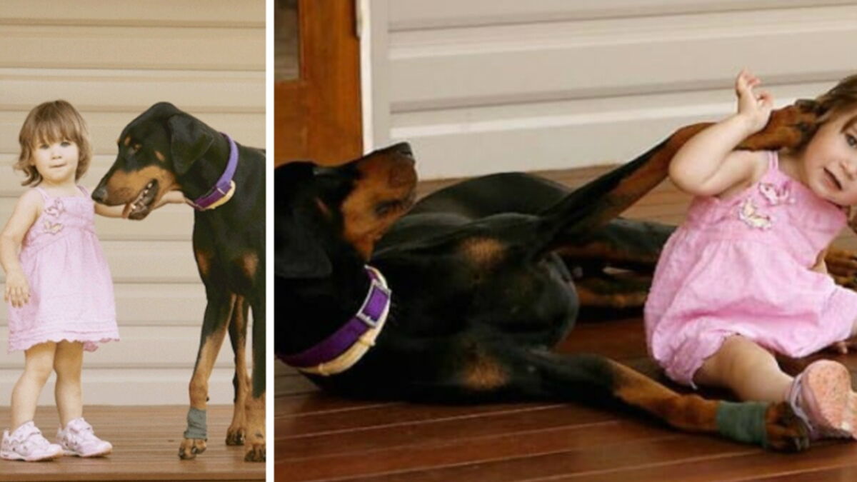 This little girl was playing with her dog until he suddenly became ...