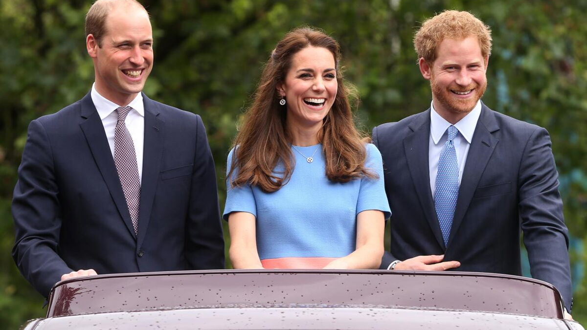 Prince William and Harry: The truth behind infamous portrait being removed