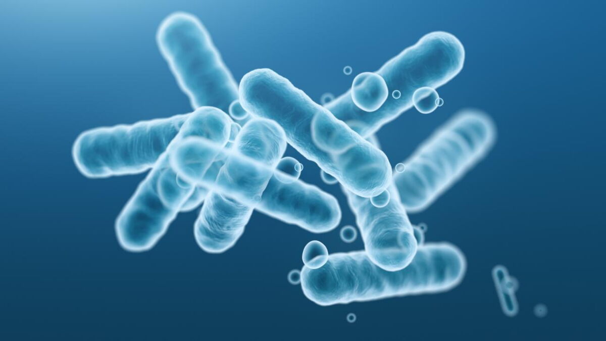 Viking poop helps researchers study a parasitic worm