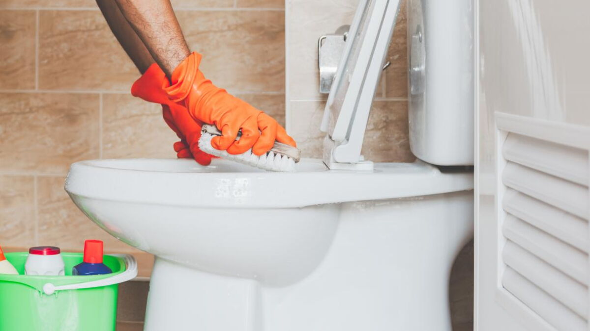 Here's how to easily clean your toilet