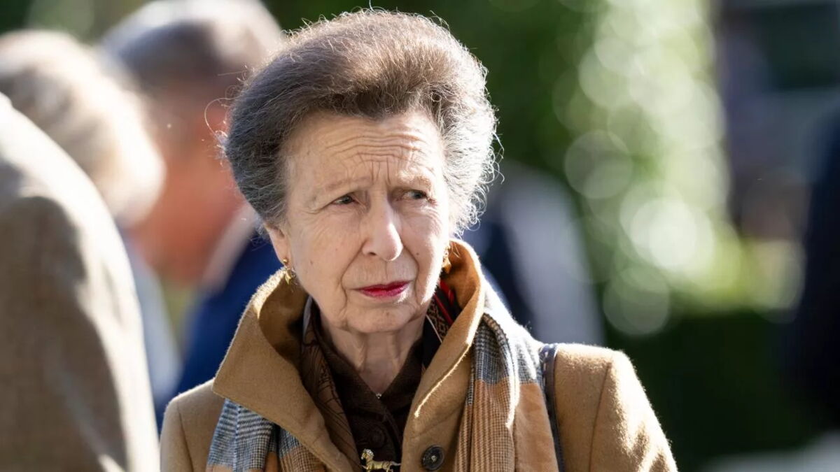 Princess Anne named the hardest-working royal in 2024 for the fourth ...