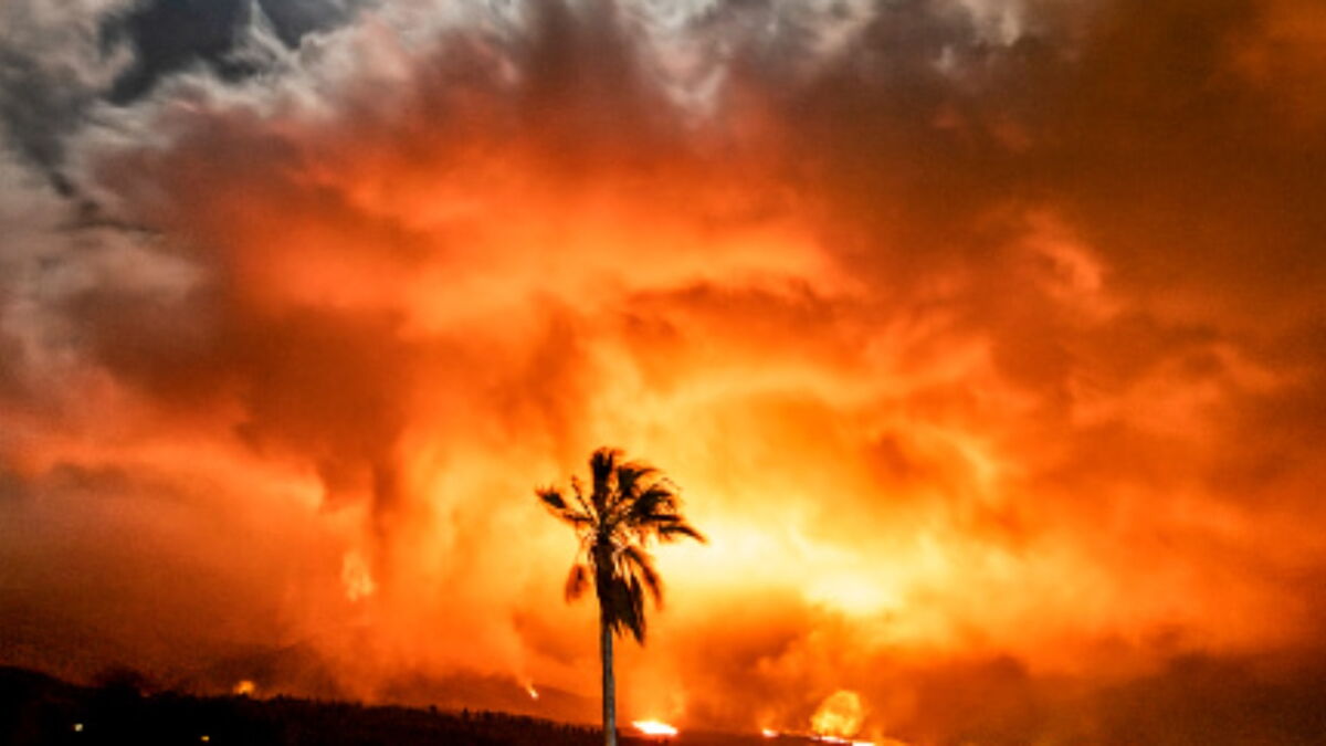 Maui wildfires: As death roll rises, find out how one family survived ...