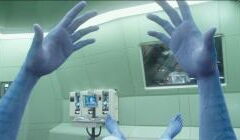 Vestigial organs: These are the body parts that are completely useless