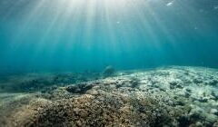 The 'Bloop': Here is everything you need to know about the most ...