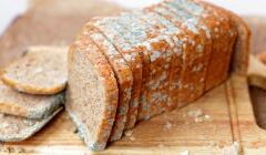 Tinned food can go bad, here's how to store it properly