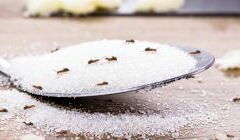 Home remedy for skin tags: Here's how to get rid of it easily