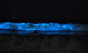 The 'Bloop': Here is everything you need to know about the most ...