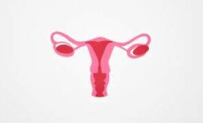 Uterus Didelphys: A rare phenomenon where you have two vaginas