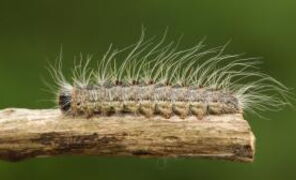 New health warning issued for Brits travelling to Turkey, here's what ...