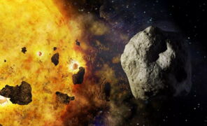 Expert reveals what would happen to the Earth if humans went extinct