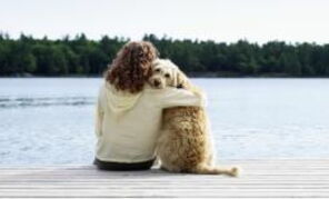 Here are the 5 most peaceful dog breeds