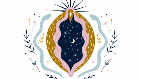 A vulva-shaped rocket could be launched into space