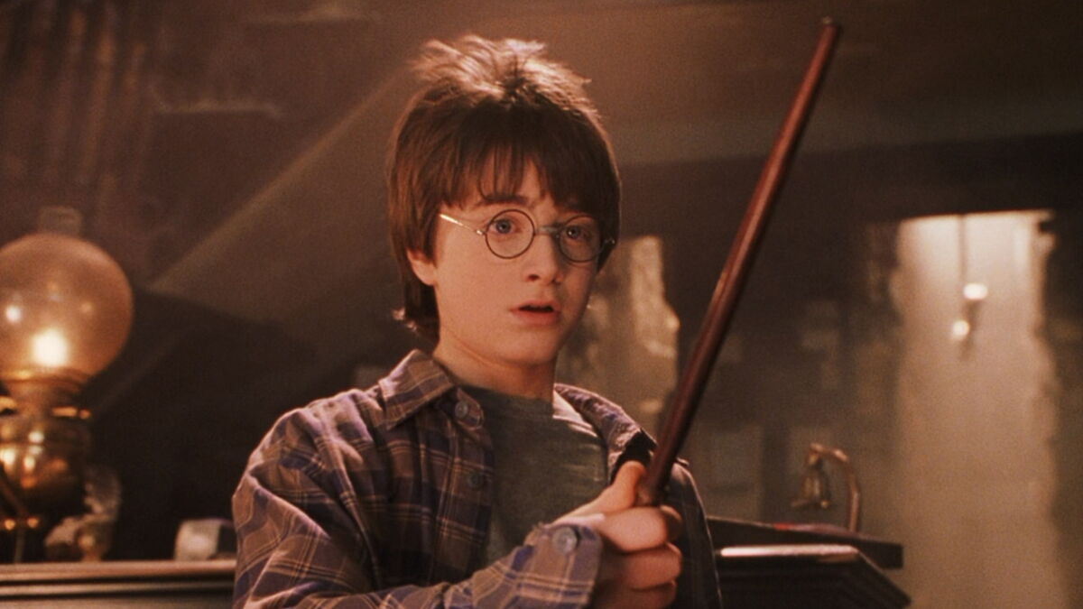 Harry Potter fans astounded as subtitles reveal what Dudley really said ...