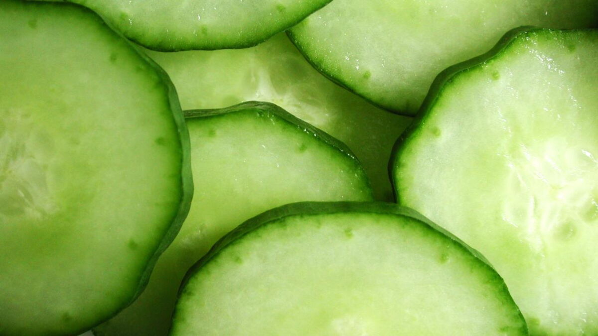 TikTok users prove that you can milk cucumbers... and it makes them ...