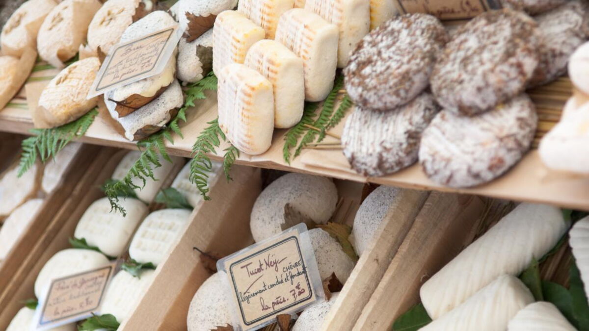 We finally know why feet smell like cheese