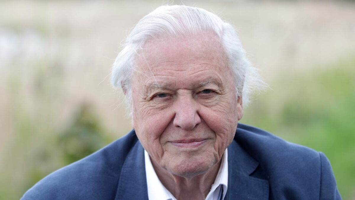 David Attenborough to receive second Knighthood
