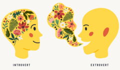 What your eye colour says about your personality