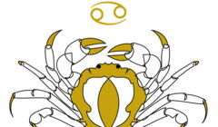 Zodiac: What you need to know about water signs