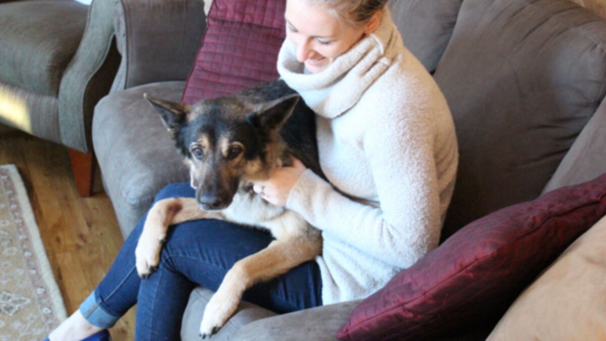 It Was This Dogs Last day on Earth and They Celebrated it in the Most ...