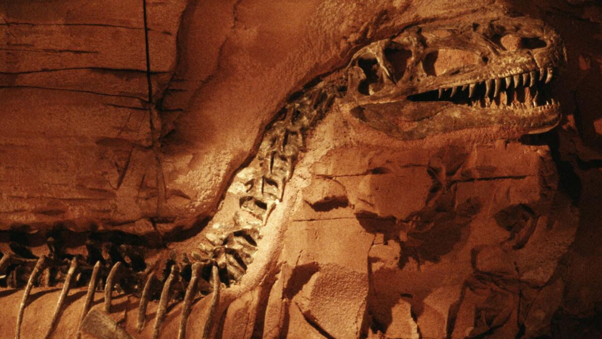 Never-before-seen skeleton of a giant dinosaur discovered in Argentina