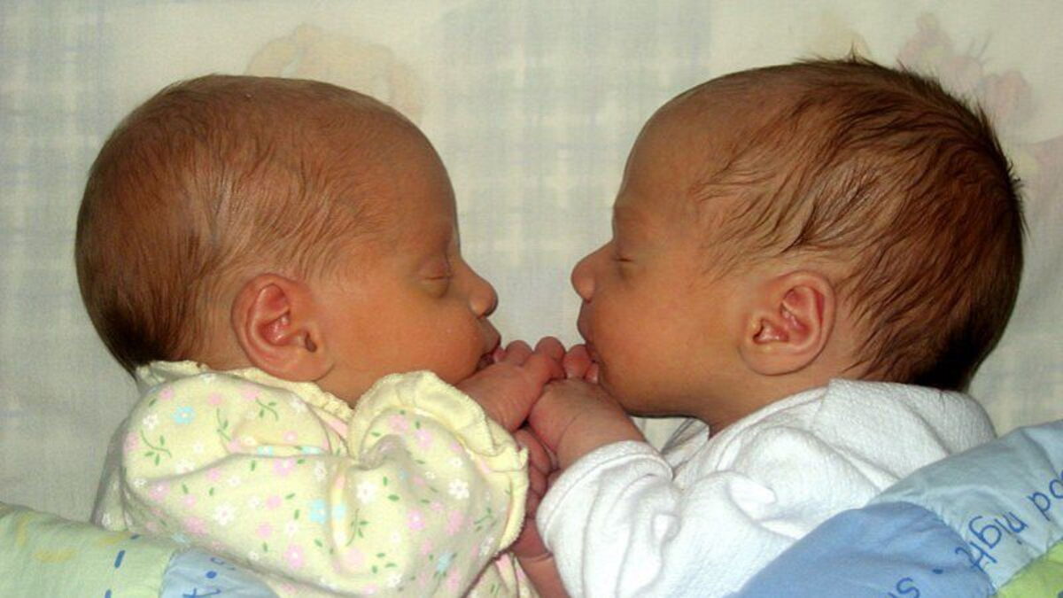 A Woman Recently Gave Birth To Twins Born In Different Years