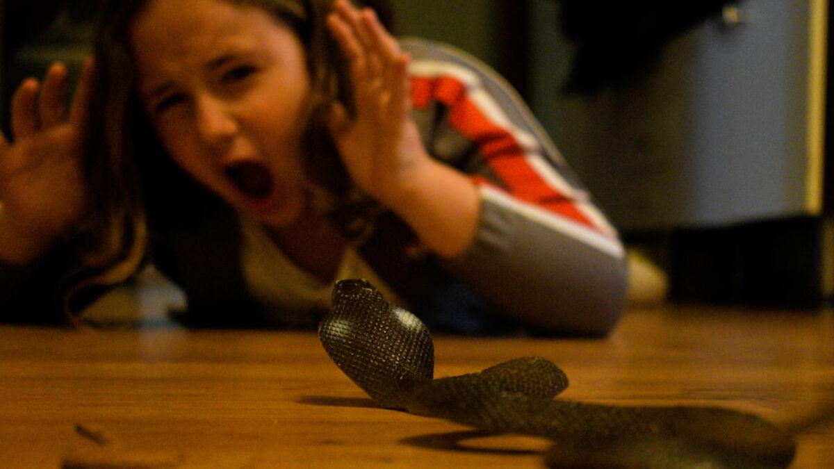 2-year-old chews a snake to death after it bit her on the lip