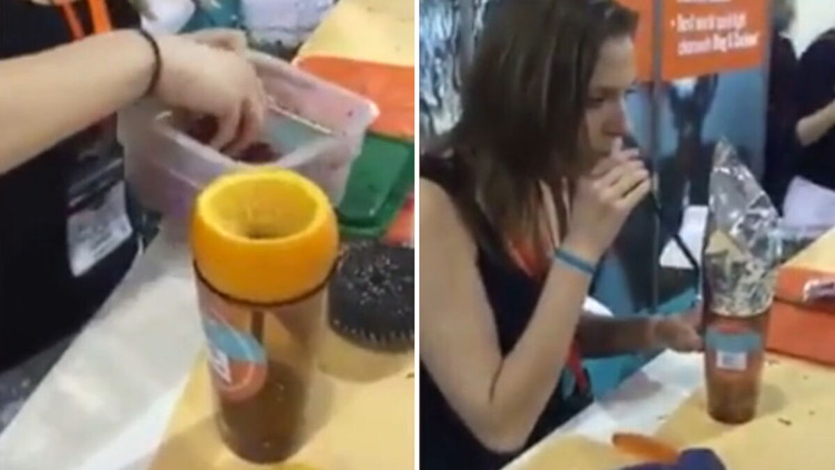 Faire Une Chicha Maison | Ventana Blog