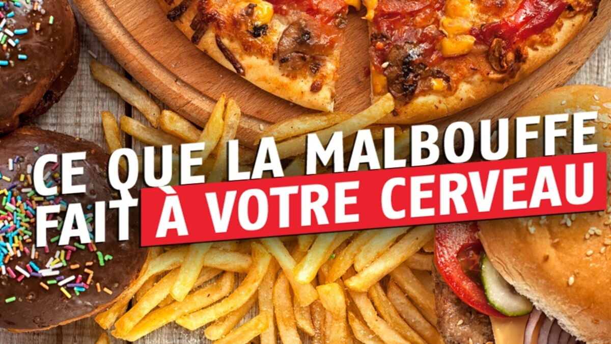Malbouffe : voici ce que la junk food fait vraiment à votre cerveau