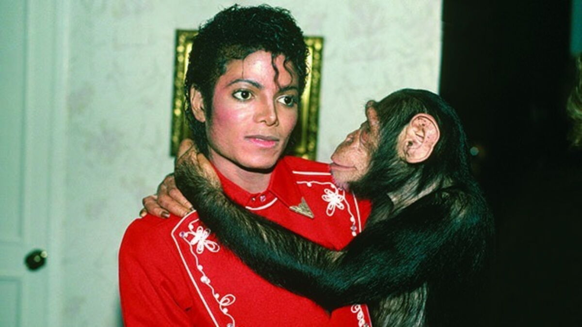 Michael Jackson : les femmes de ménage de Neverland font des ...