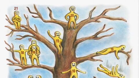 Quelle est votre place sur cette arbre ? Le test psychologique qui ...