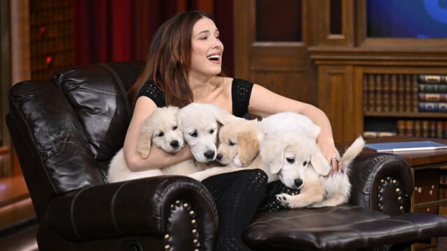 Millie Bobby Brown : pourquoi la star de Stranger Things refuse de ...