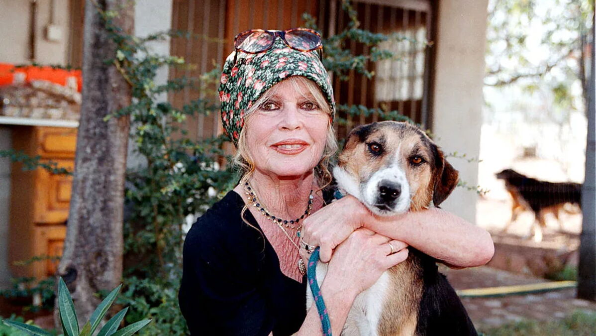 Obsèques de Brigitte Bardot : adieu public et hommage à Saint-Tropez le ...