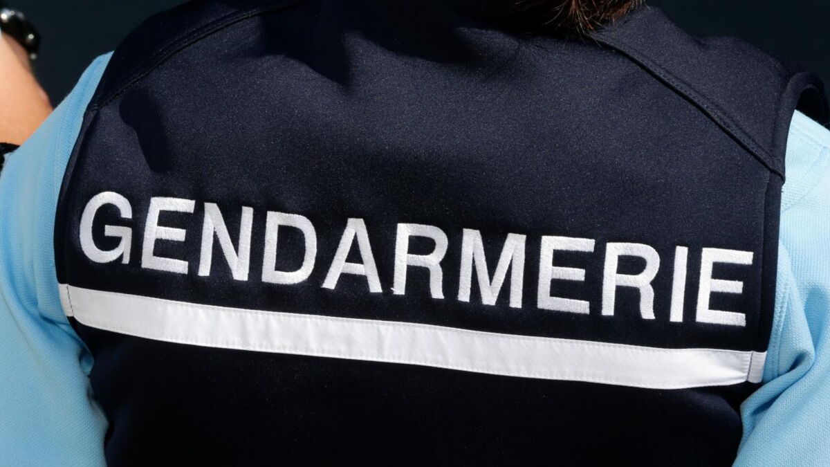 Meurtre de Lizabete à Nice : le suspect de 45 ans arrêté après trois ...