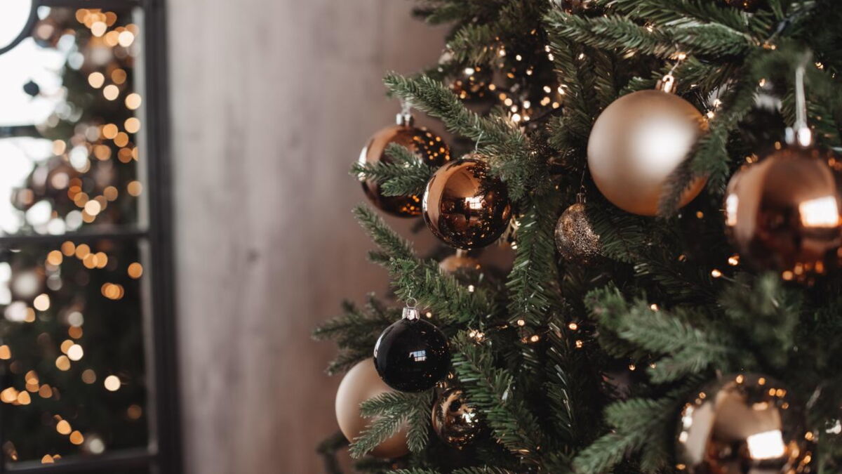 Voici à quoi doit ressembler votre sapin de Noël en fonction de votre ...